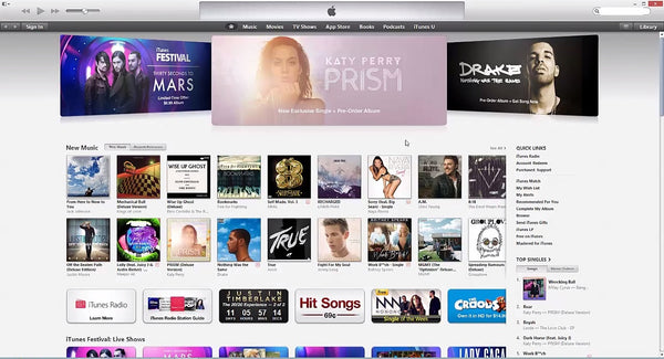 How to Use iTunes for Beginners (Windows) - Online Course – Infinity Guides